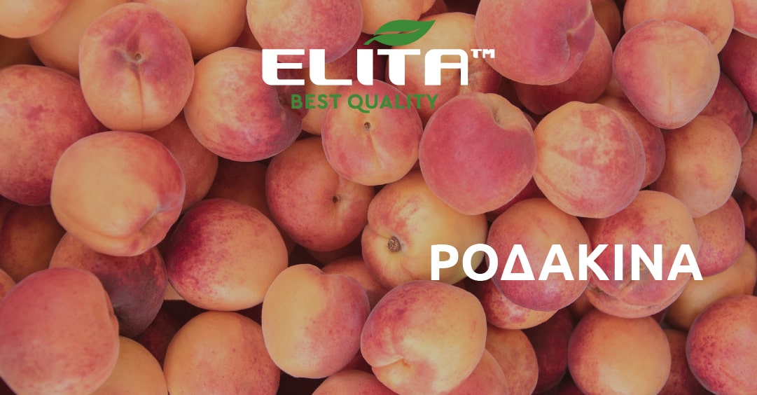 Peaches - Elita Fruits - Best Quality