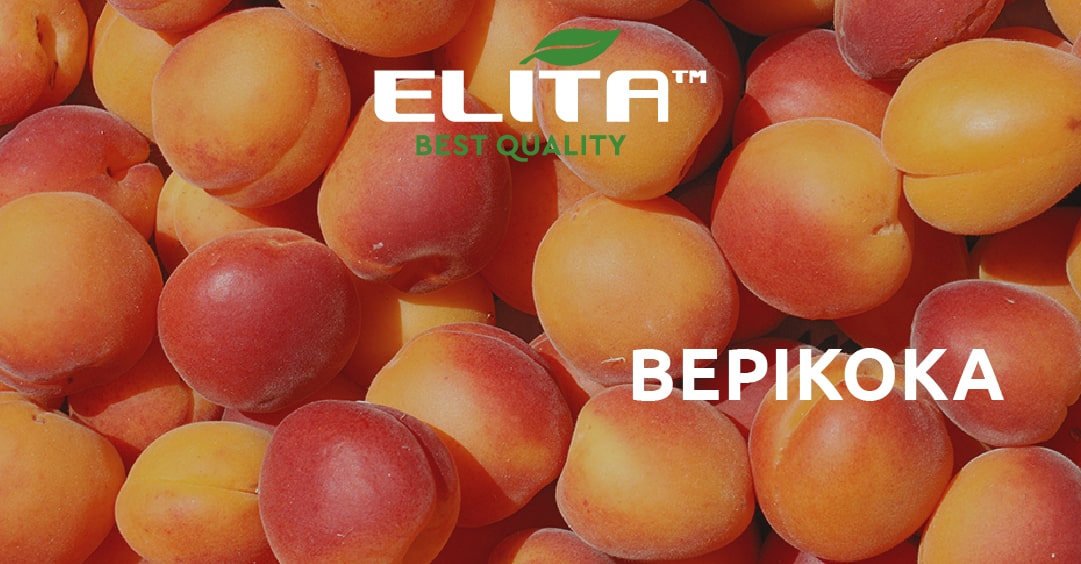 Apricots - Elita Fruits - Best Quality