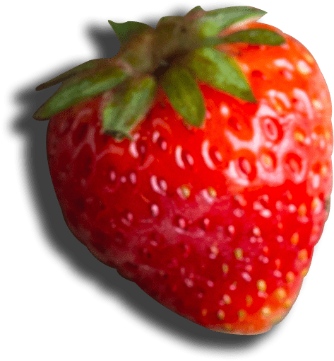 Αρχική - Elita Fruits - Best Quality